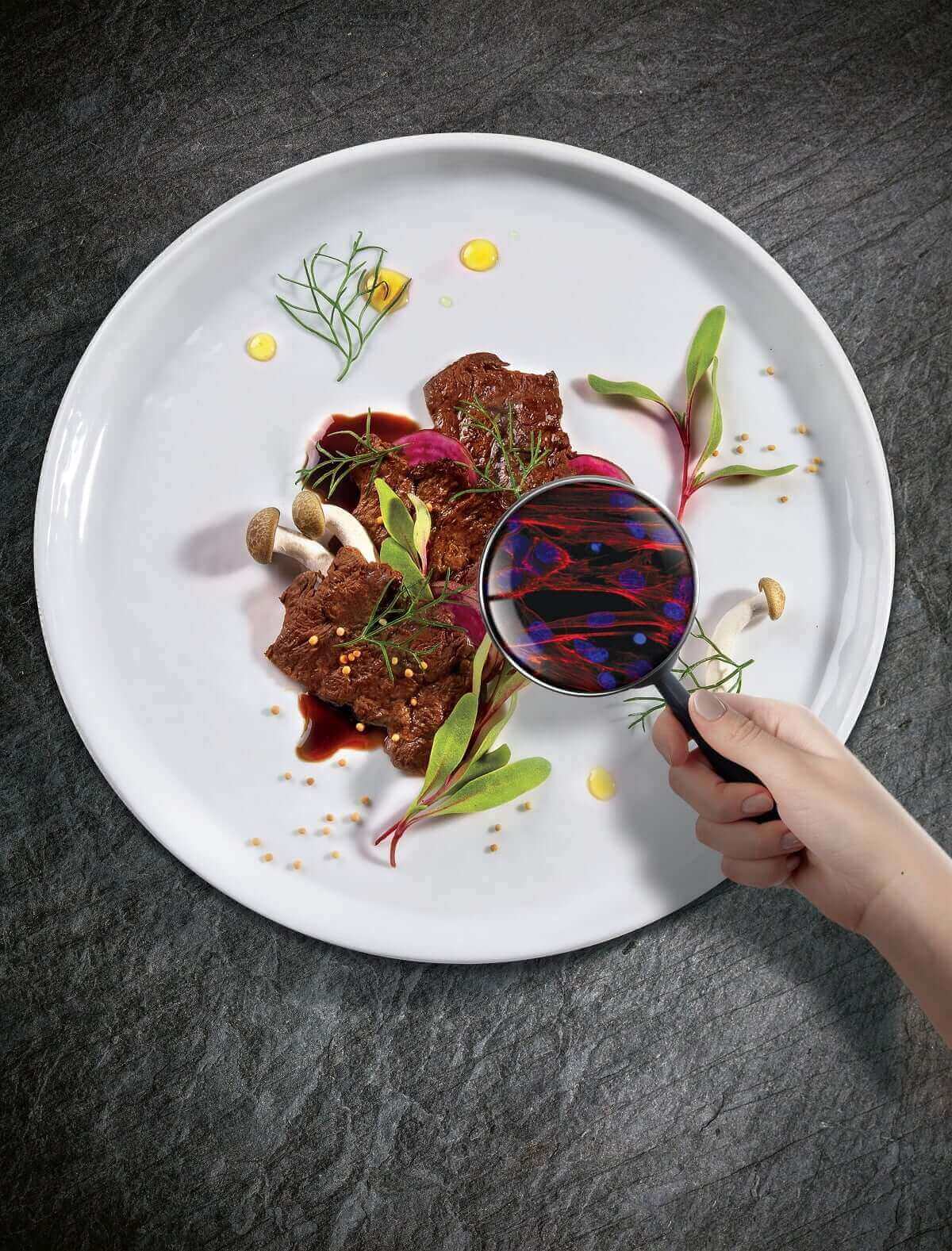 Well done: Aleph Farms lands $105M to dish out steaks that vegetarians ...